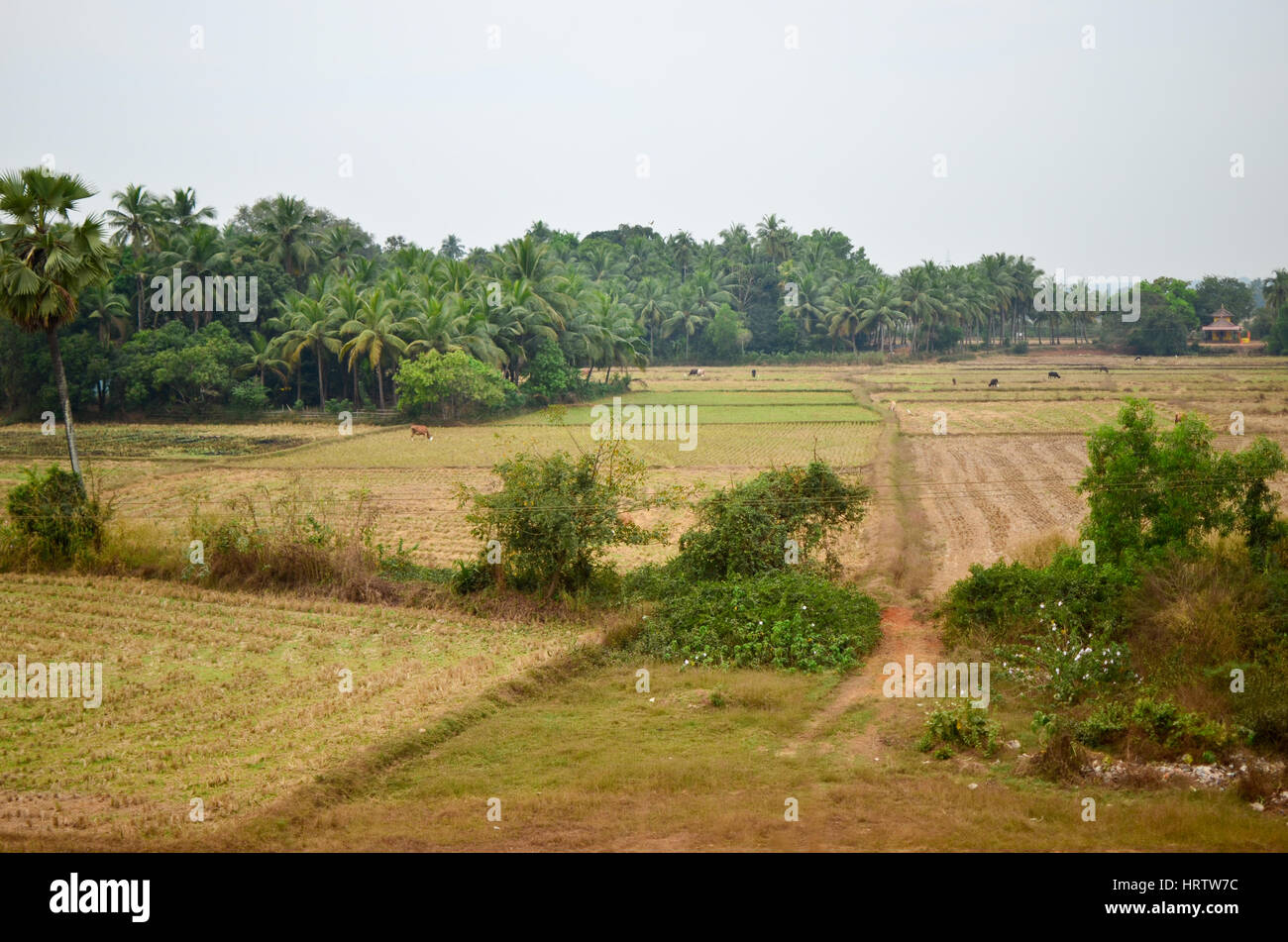 Beautiful landscape of rural India. Scene captured during a train ...