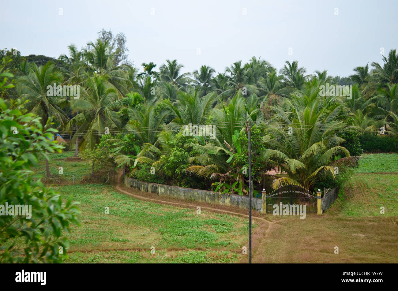 Beautiful landscape of rural India. Scene captured during a train ...