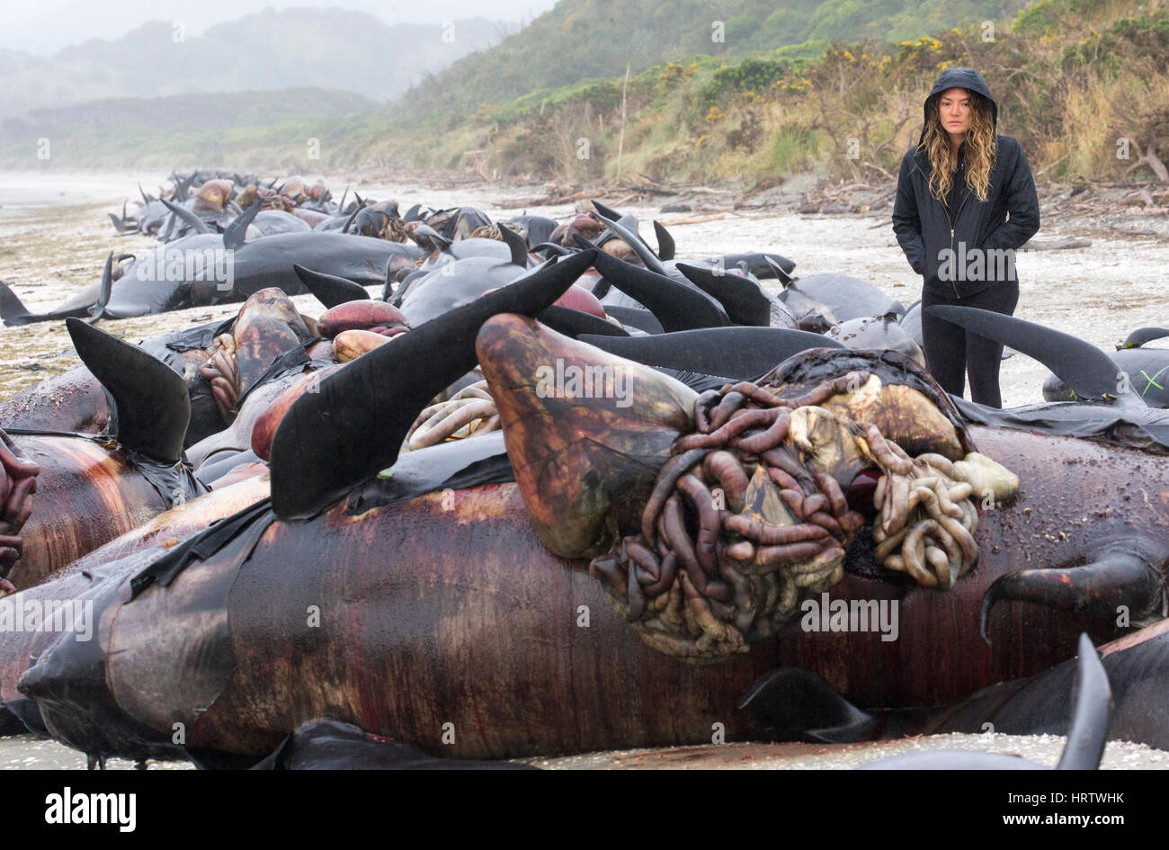 Dead pilot hi-res stock photography and images - Alamy