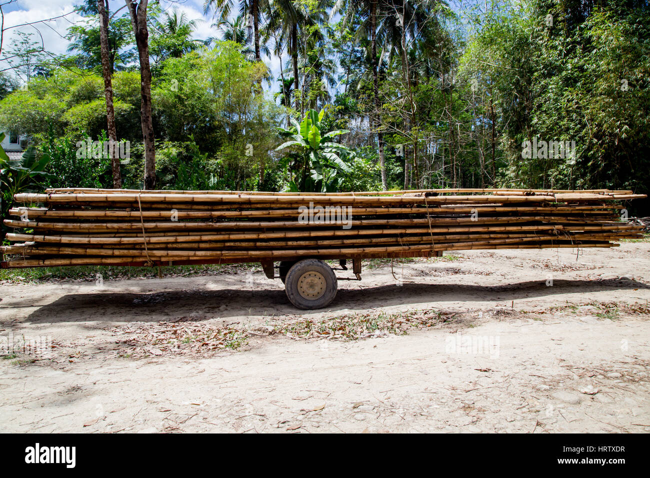 bamboo rafts for rafting Stock Photo - Alamy