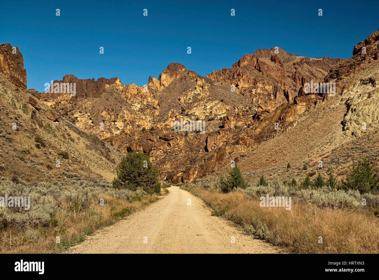 Dirt road, volcanic rhyolite rock formations in Leslie Gulch near ...