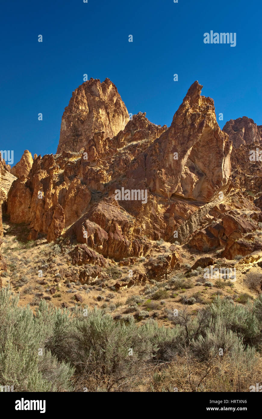 Volcanic rhyolite rock formations in Leslie Gulch near Owyhee Lake ...