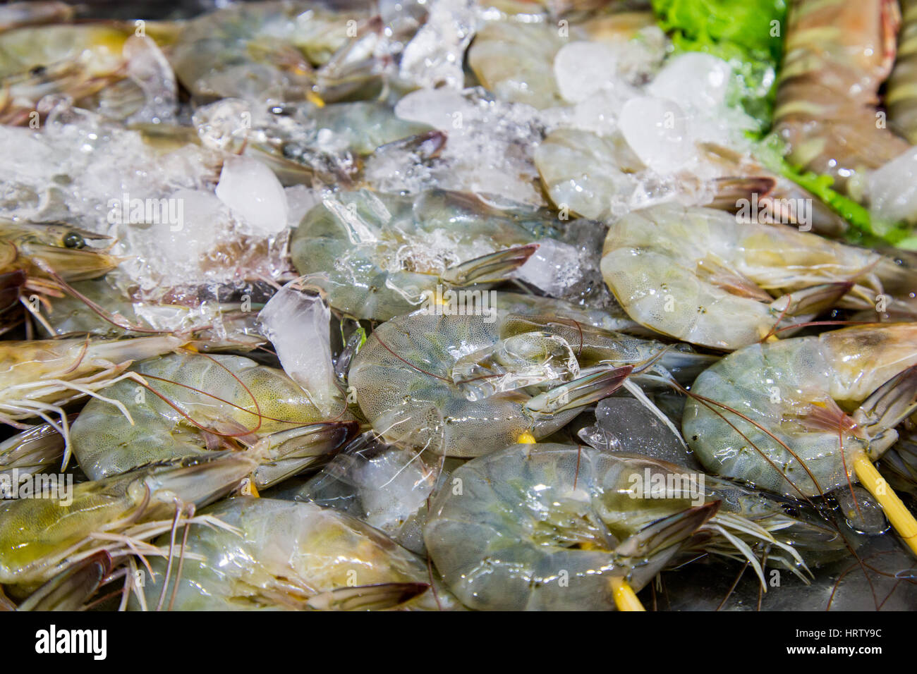 row of shrimp in the Asian market Stock Photo - Alamy