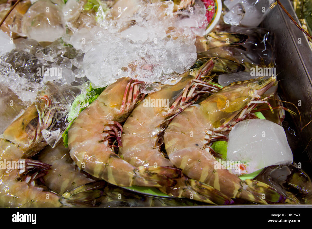 row of king shrimp in the Asian market Stock Photo - Alamy