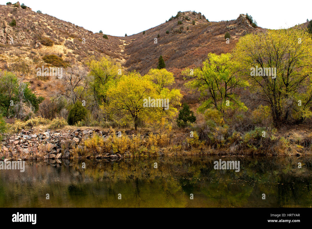 Beautiful autumn forest by the river,Colorado, America Stock Photo - Alamy