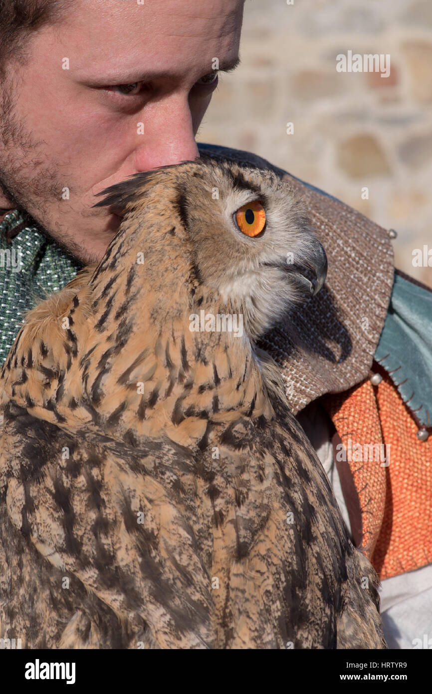Falconry display at the medieval festival with various birds of prey in ...