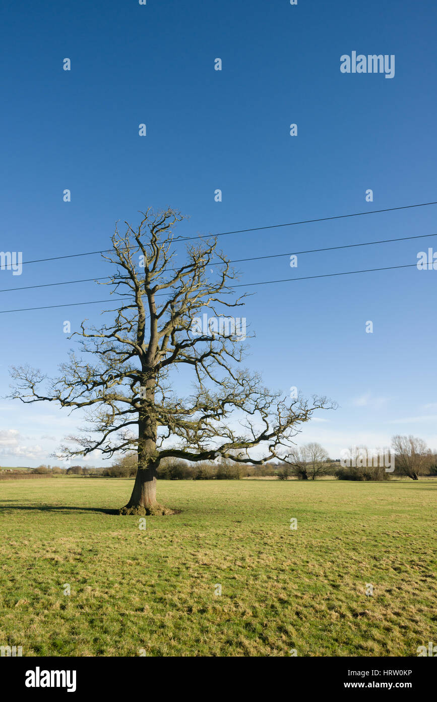 Open countryside in the village of Barford St. John, Oxfordshire ...