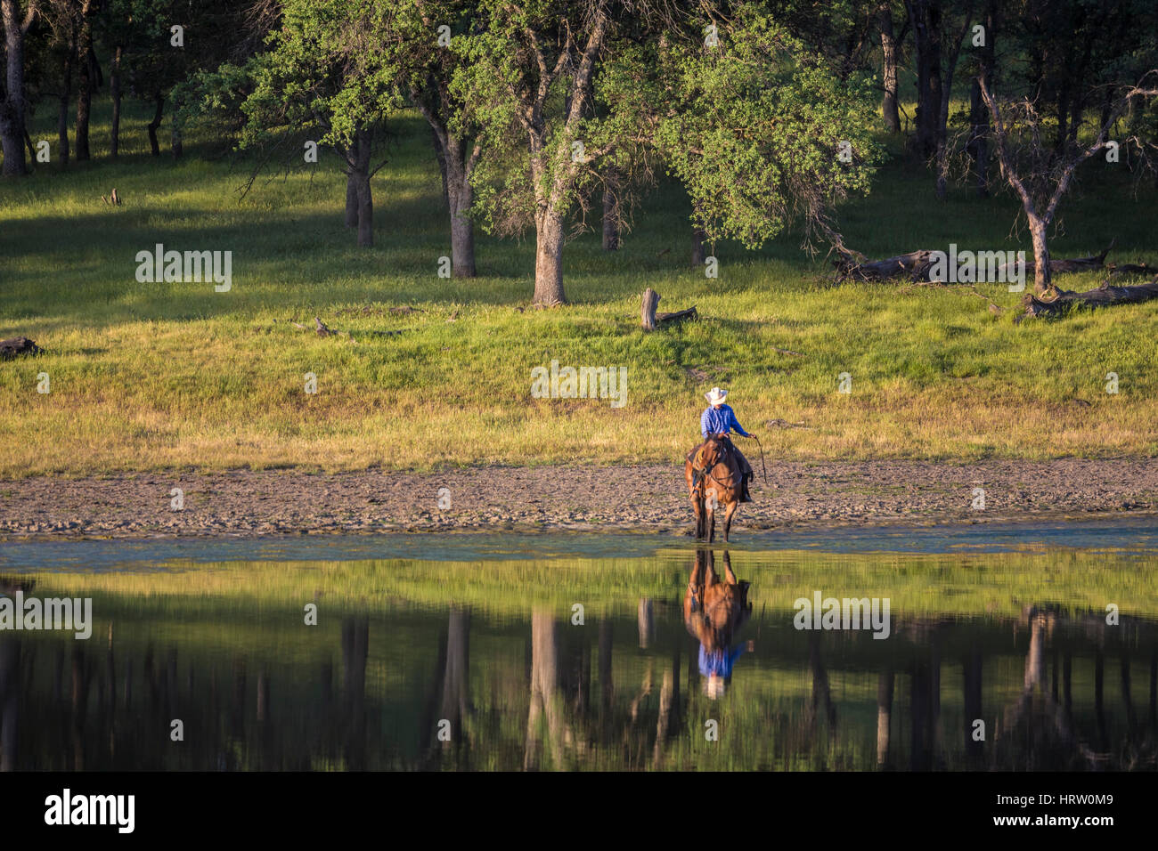 cowboy on horseback reflected in pond on ranch Stock Photo - Alamy