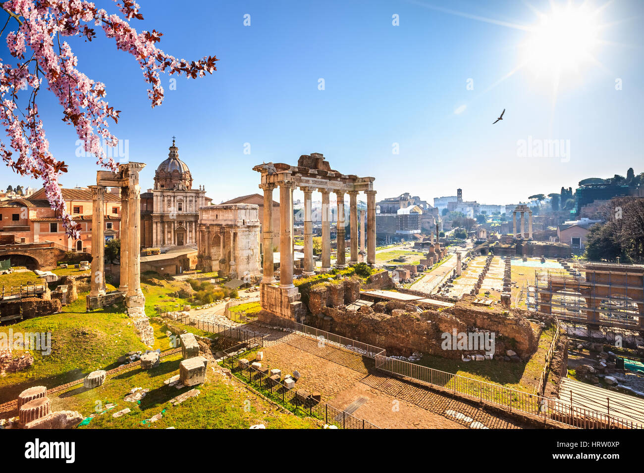 Roman ruins in Rome at spring, Italy Stock Photo - Alamy