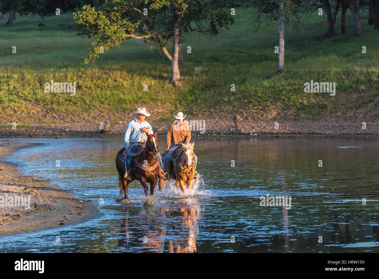 two cowboys on horseback crossing creek on ranch Stock Photo - Alamy