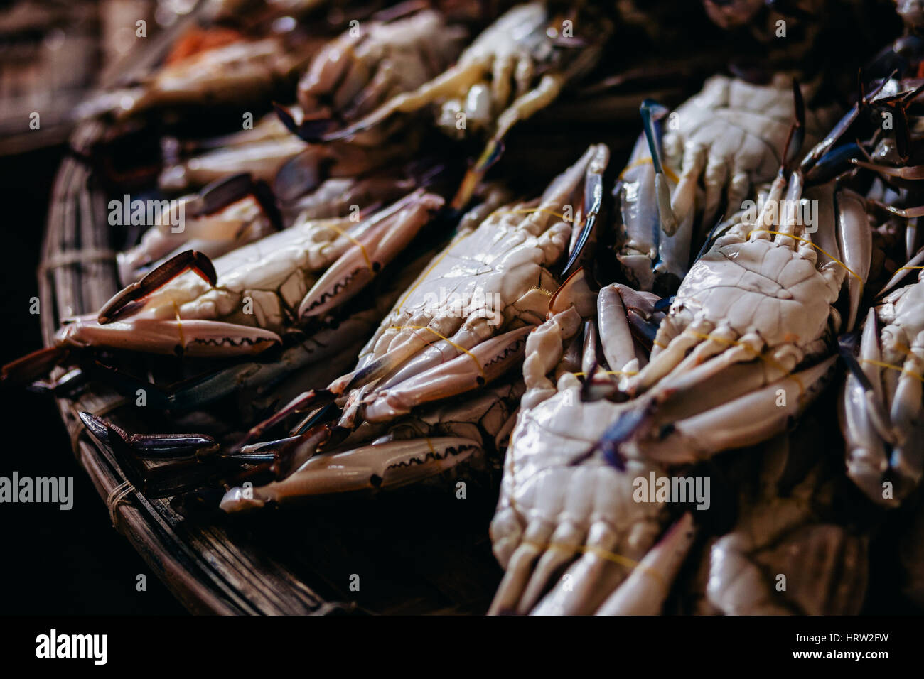 Raw crad sea food at local market in asia Stock Photo - Alamy