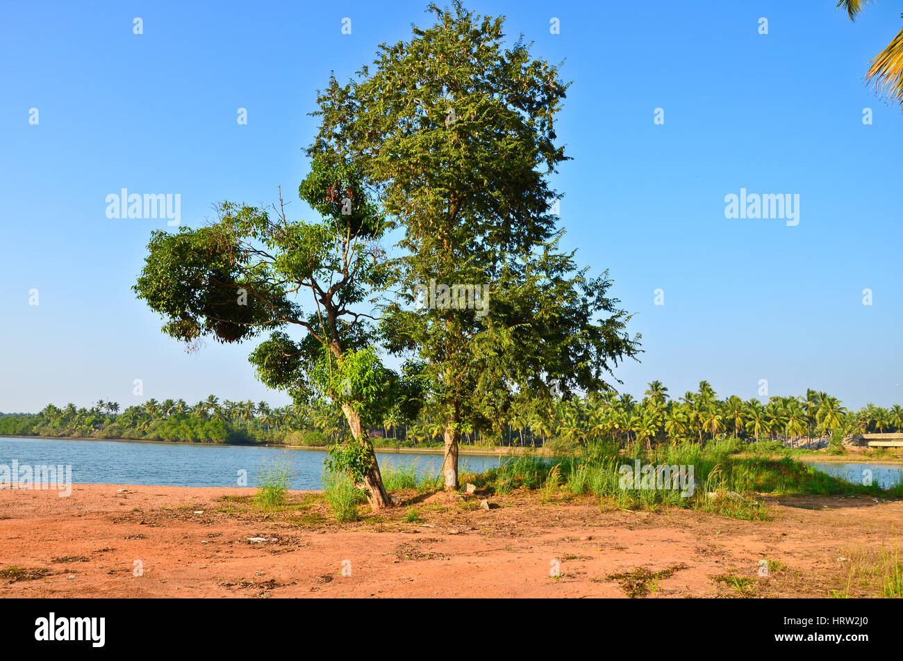 Mangalore scenery hi-res stock photography and images - Alamy