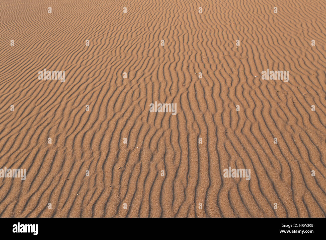 Sandy beach pattern hi-res stock photography and images - Alamy