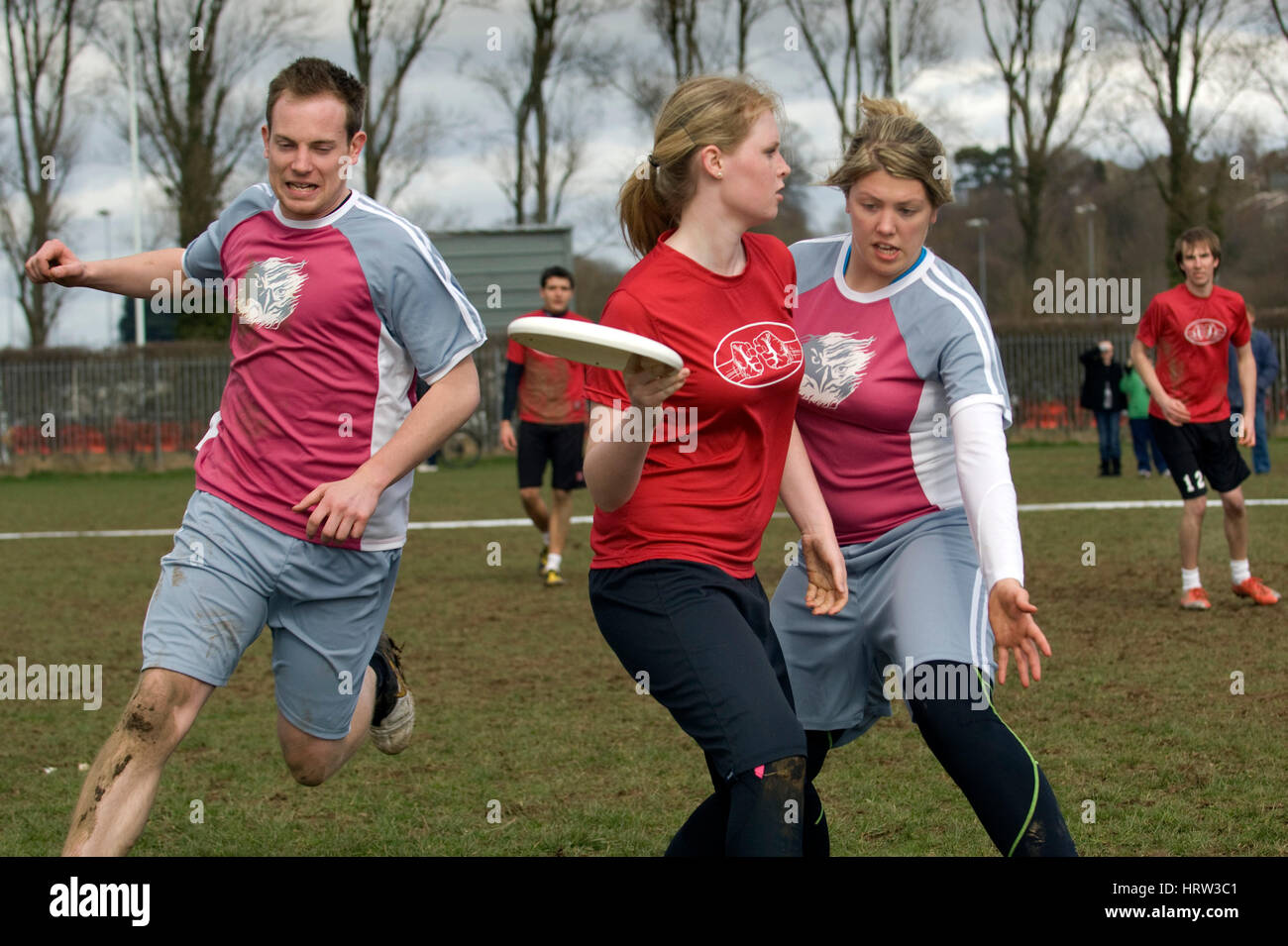 Frisbee team match Stock Photo - Alamy