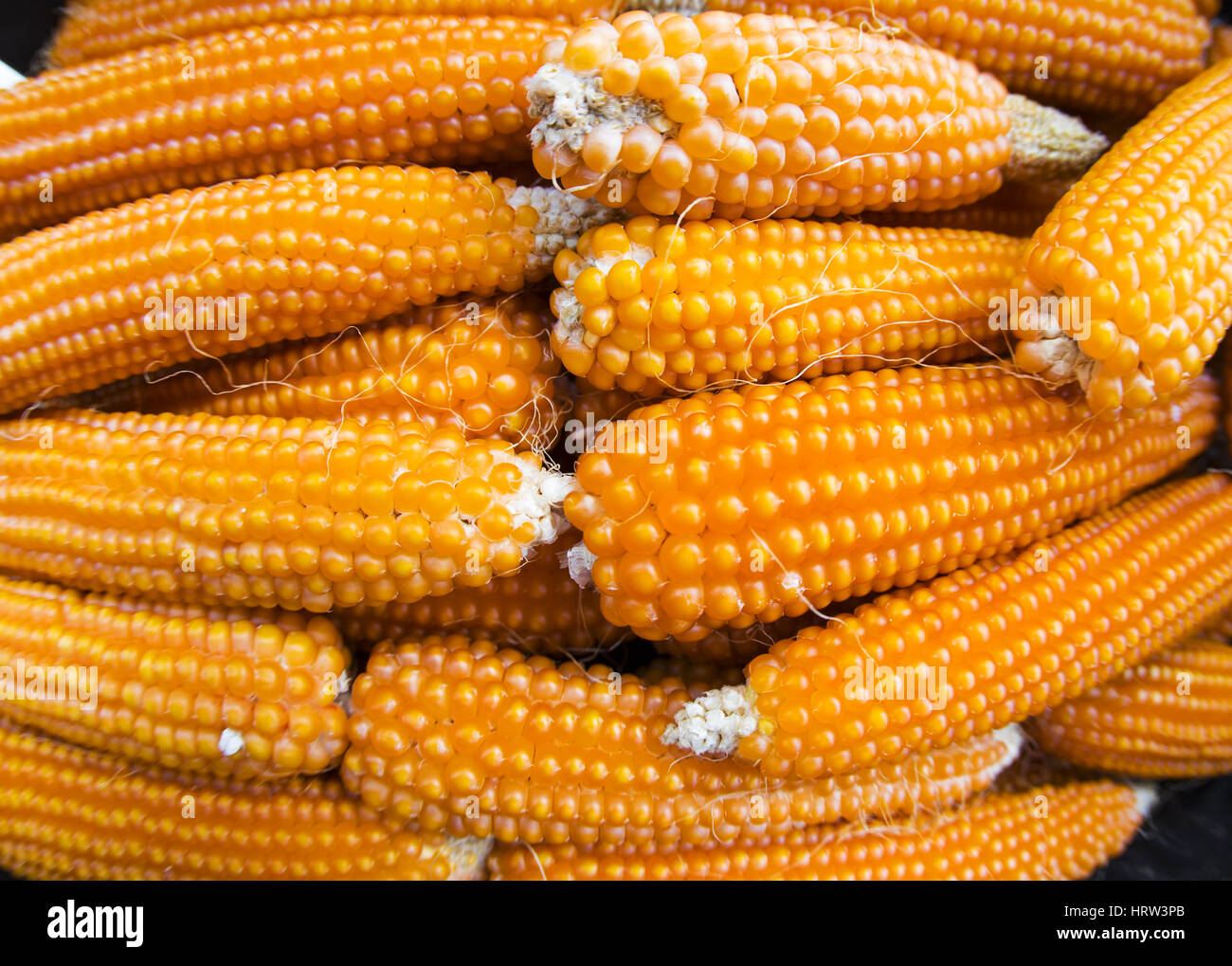 Wallpaper sweetcorn hi-res stock photography and images - Alamy