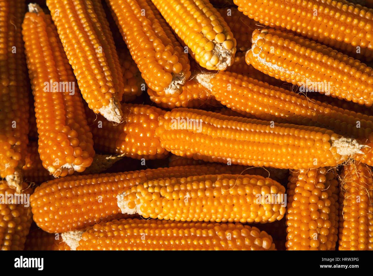 Wallpaper sweetcorn hi-res stock photography and images - Alamy