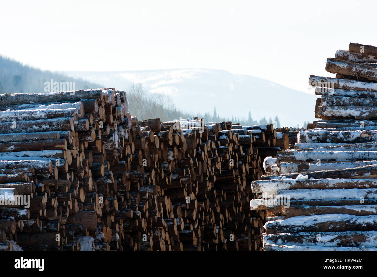 Lumbering hi-res stock photography and images - Alamy