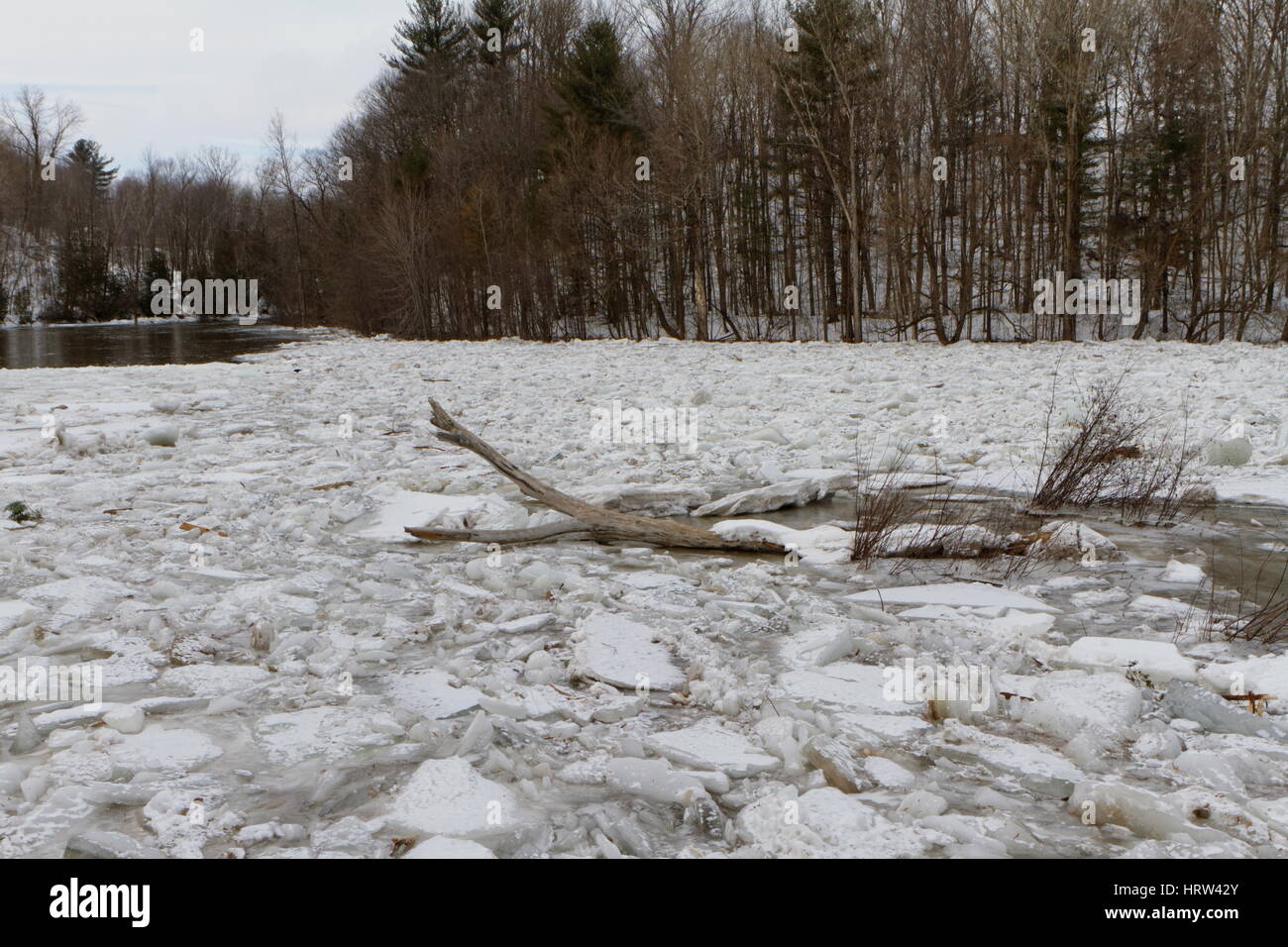 Ice jam on a river in Quebec, caused by spring thaw Stock Photo - Alamy
