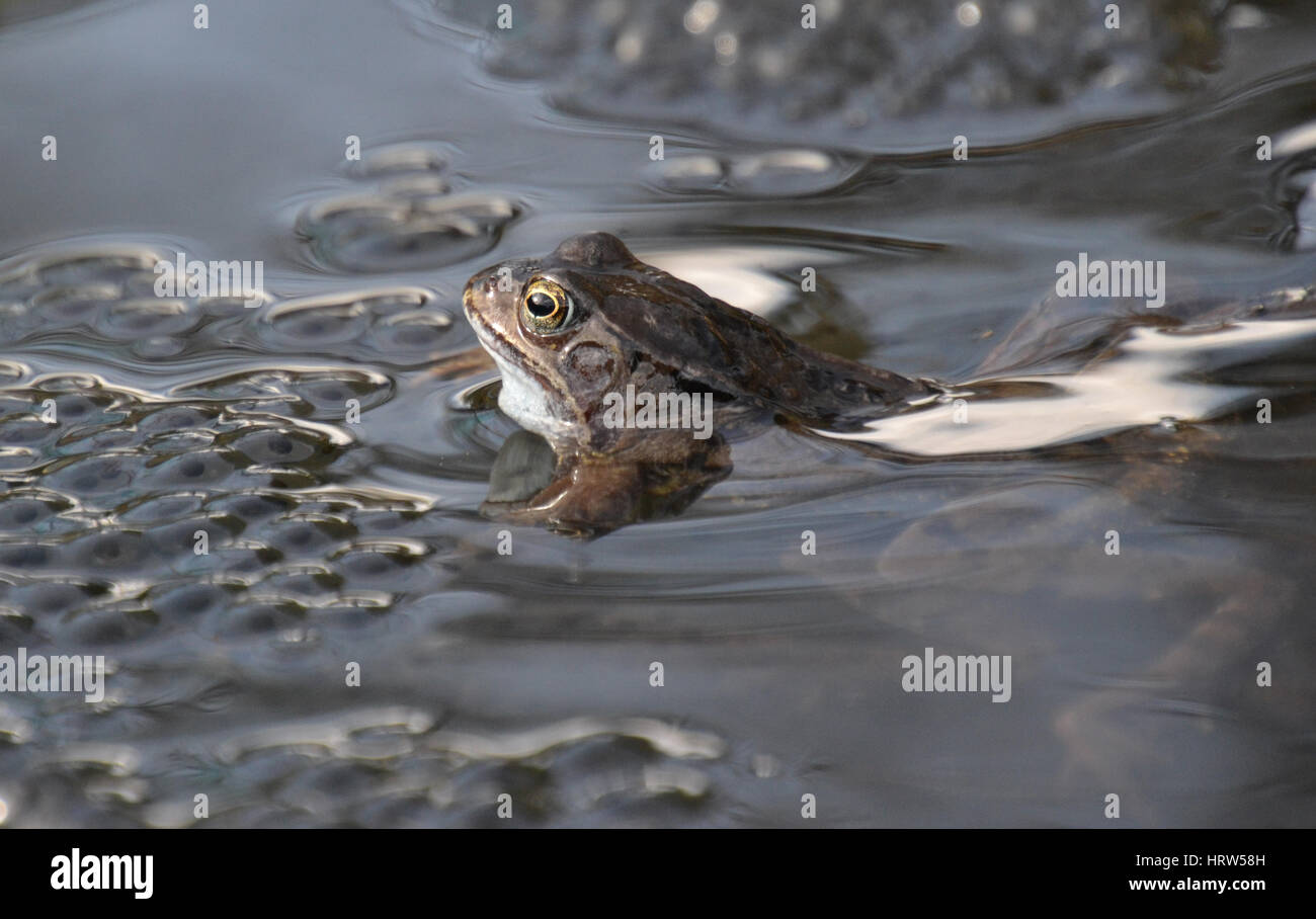 Climbing out of swimming pool hi-res stock photography and images - Alamy