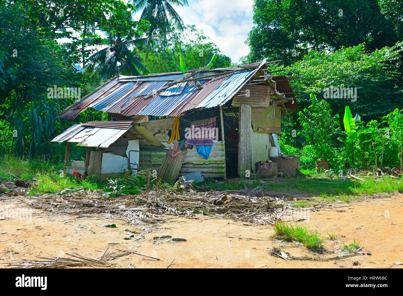small hut in the jungle Stock Photo - Alamy