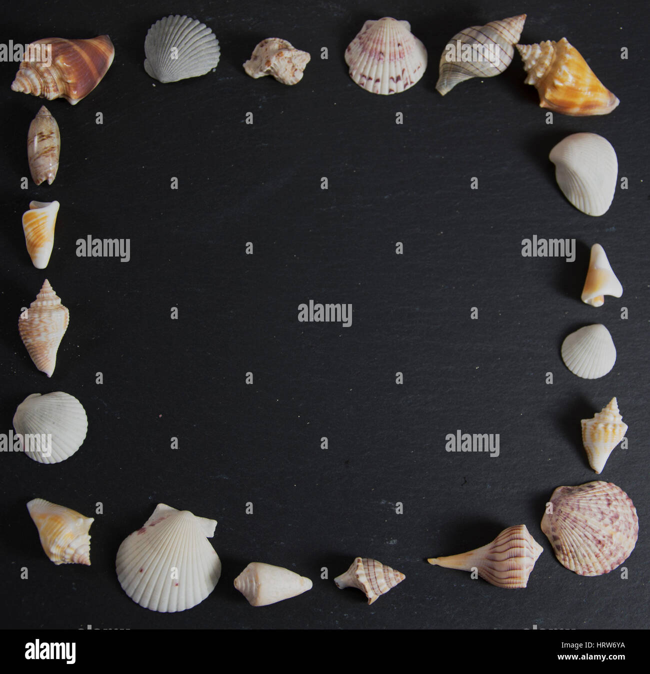 frame of seashells Stock Photo - Alamy
