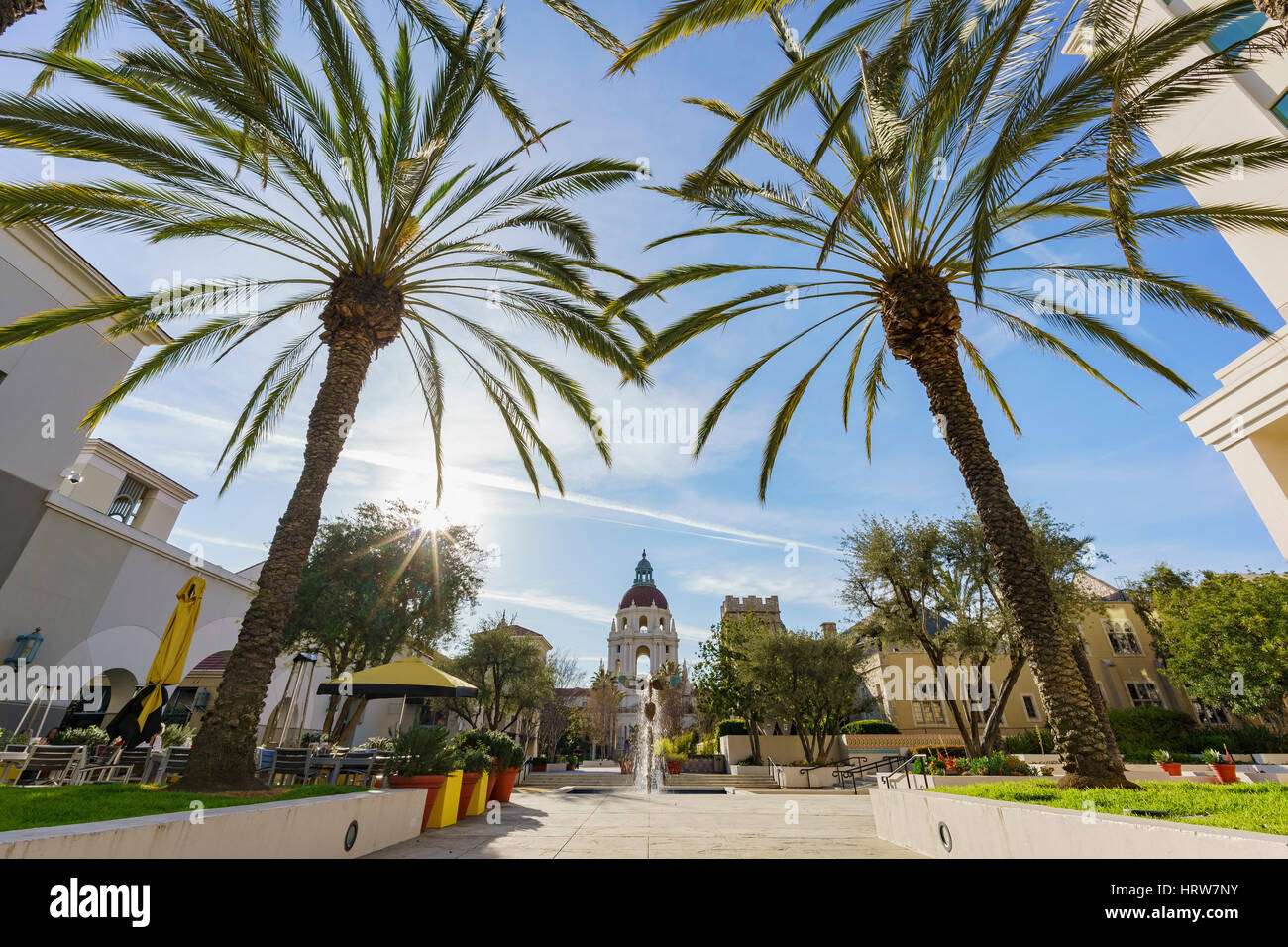 Pasadena palm trees hi-res stock photography and images - Alamy