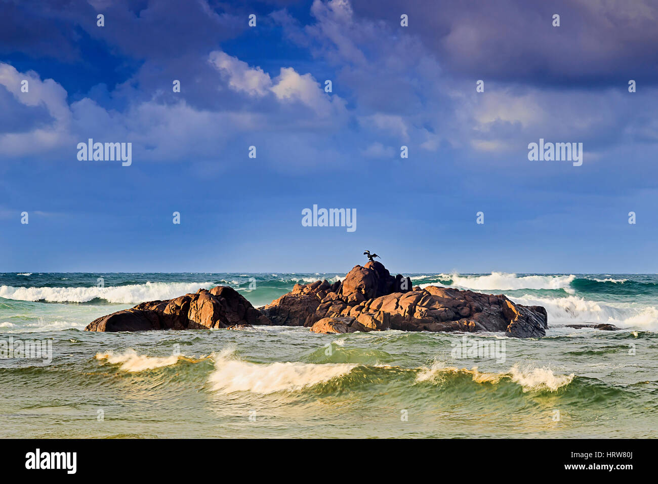 Sandstone boulder at Birubi beach on pacific coast of NSW, Australia ...