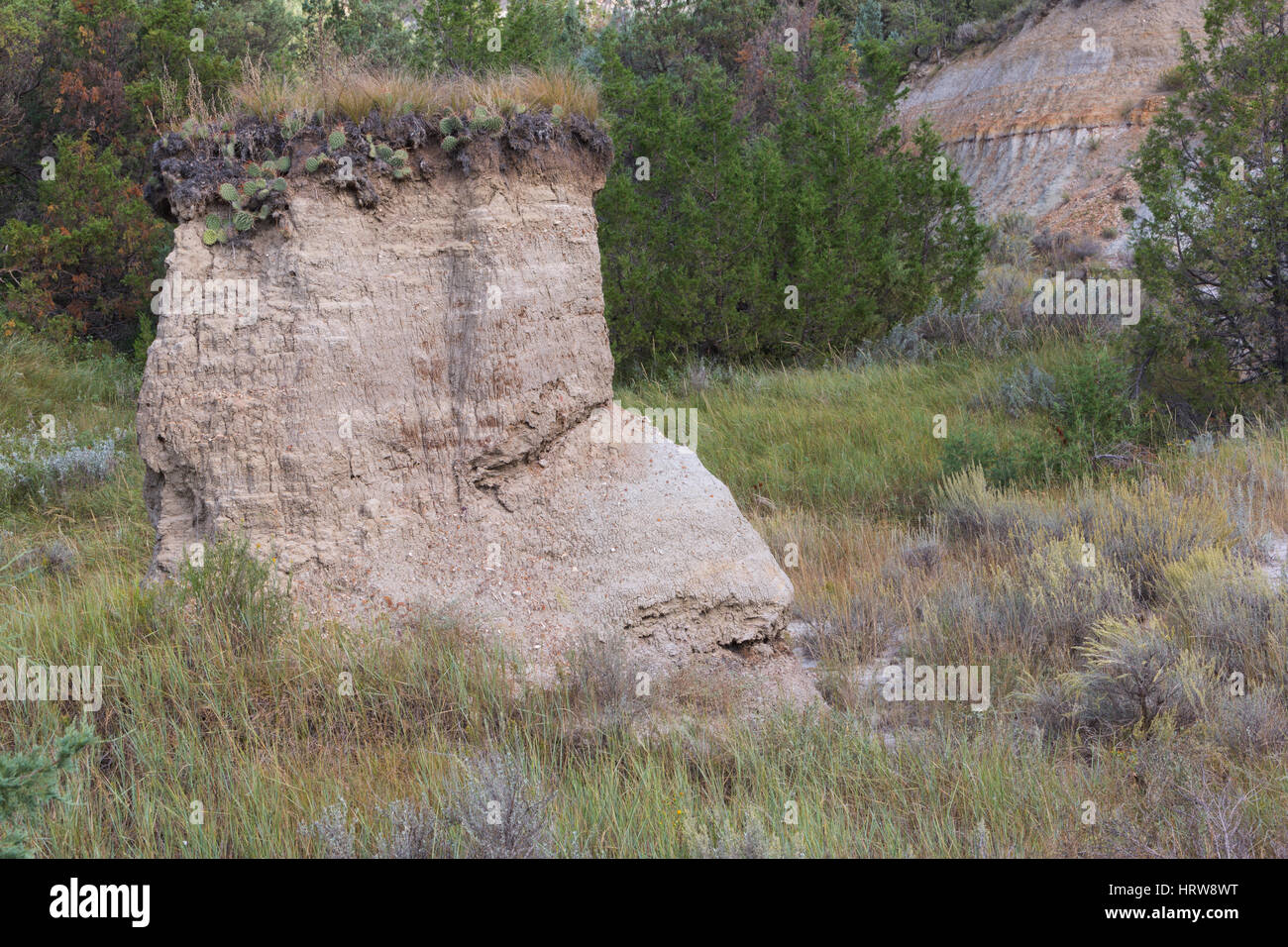 Cap rock, Theodore Roosevelt National Park, ND, USA Stock Photo - Alamy