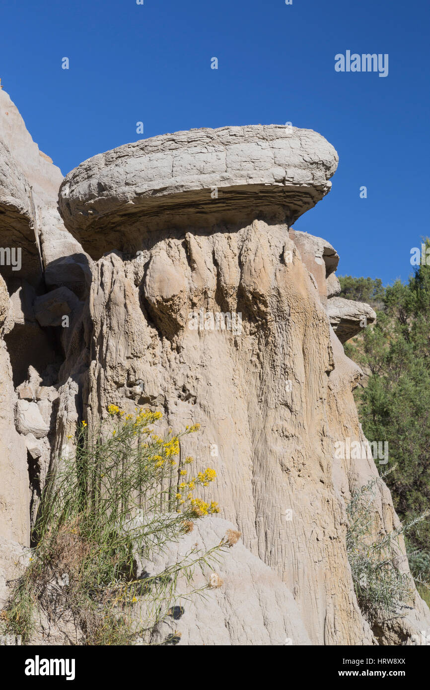 Cap rock, Theodore Roosevelt National Park, ND, USA Stock Photo - Alamy