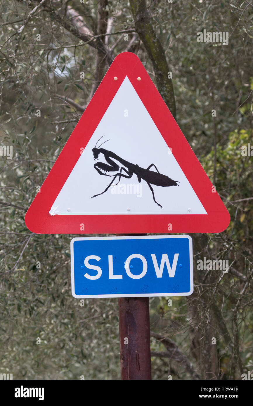 Beware of bugs sign Stock Photo - Alamy