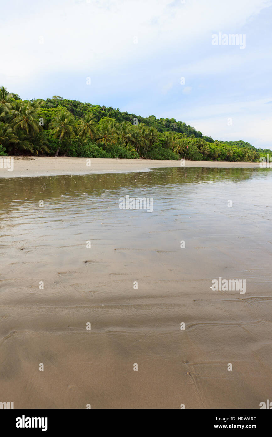 Big open sand beach Montezuma Costa Rica Stock Photo - Alamy