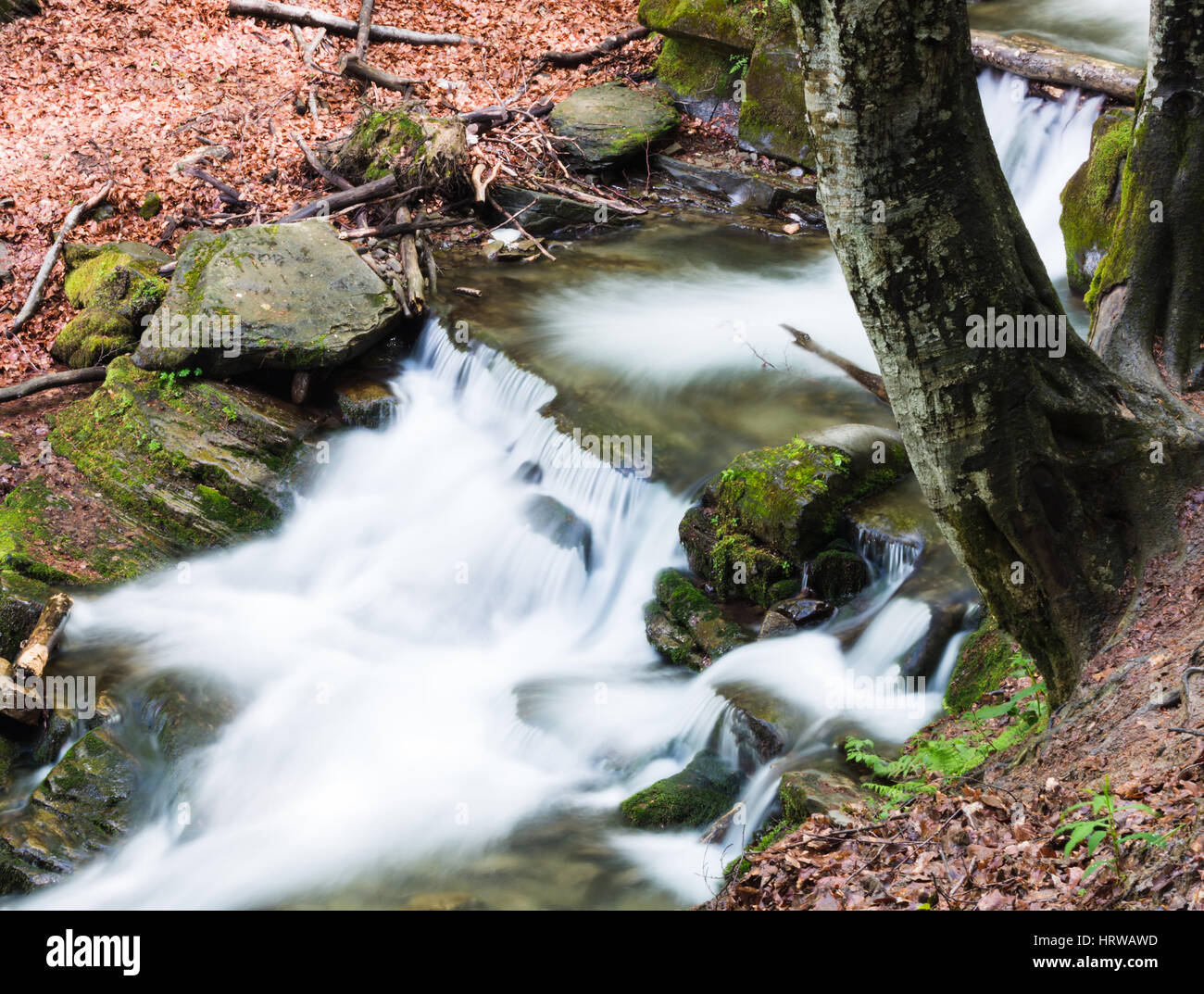 Small river waterfall among trees hi-res stock photography and images ...