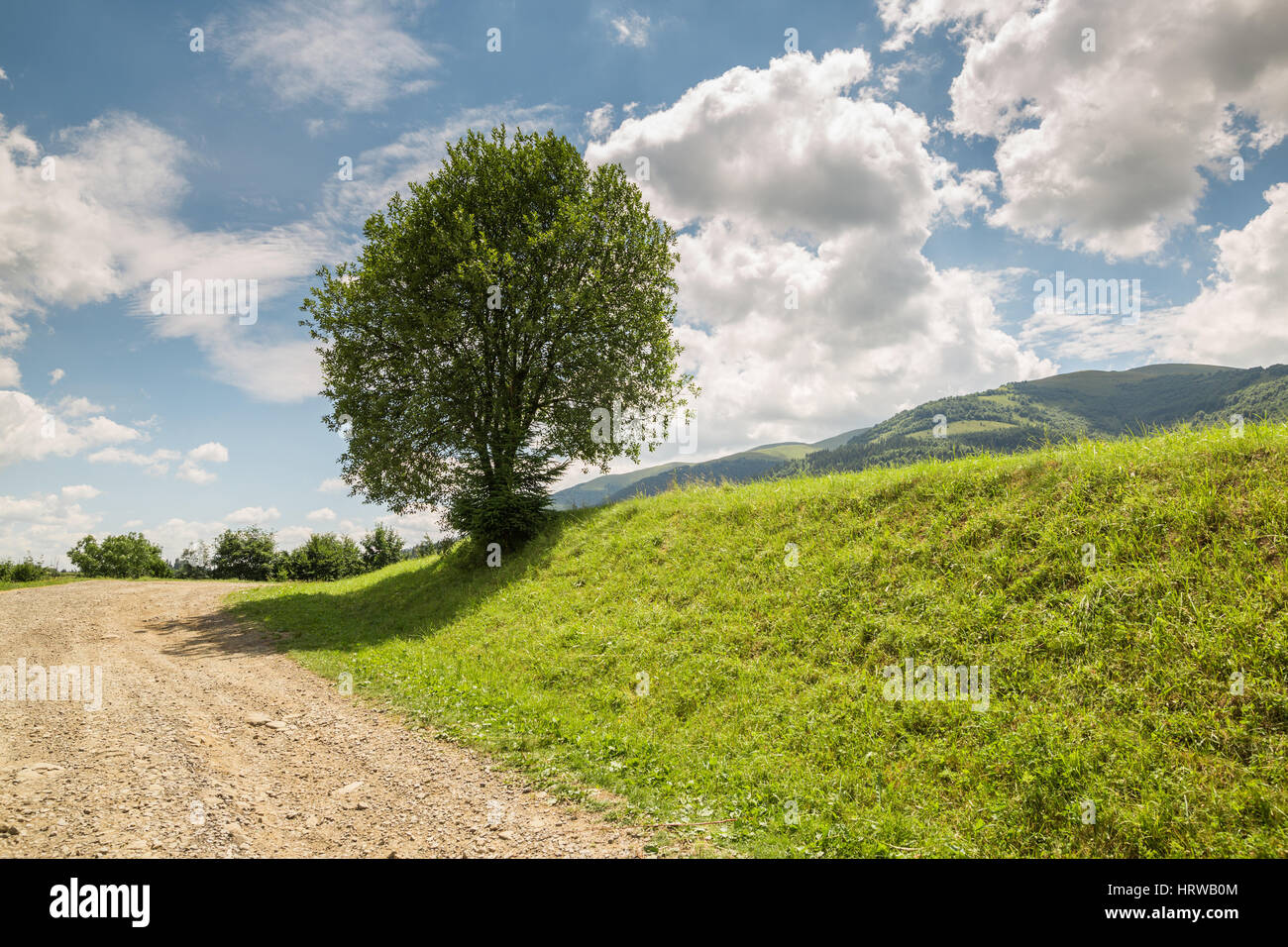 road with gravel stretches up the green hill Stock Photo - Alamy