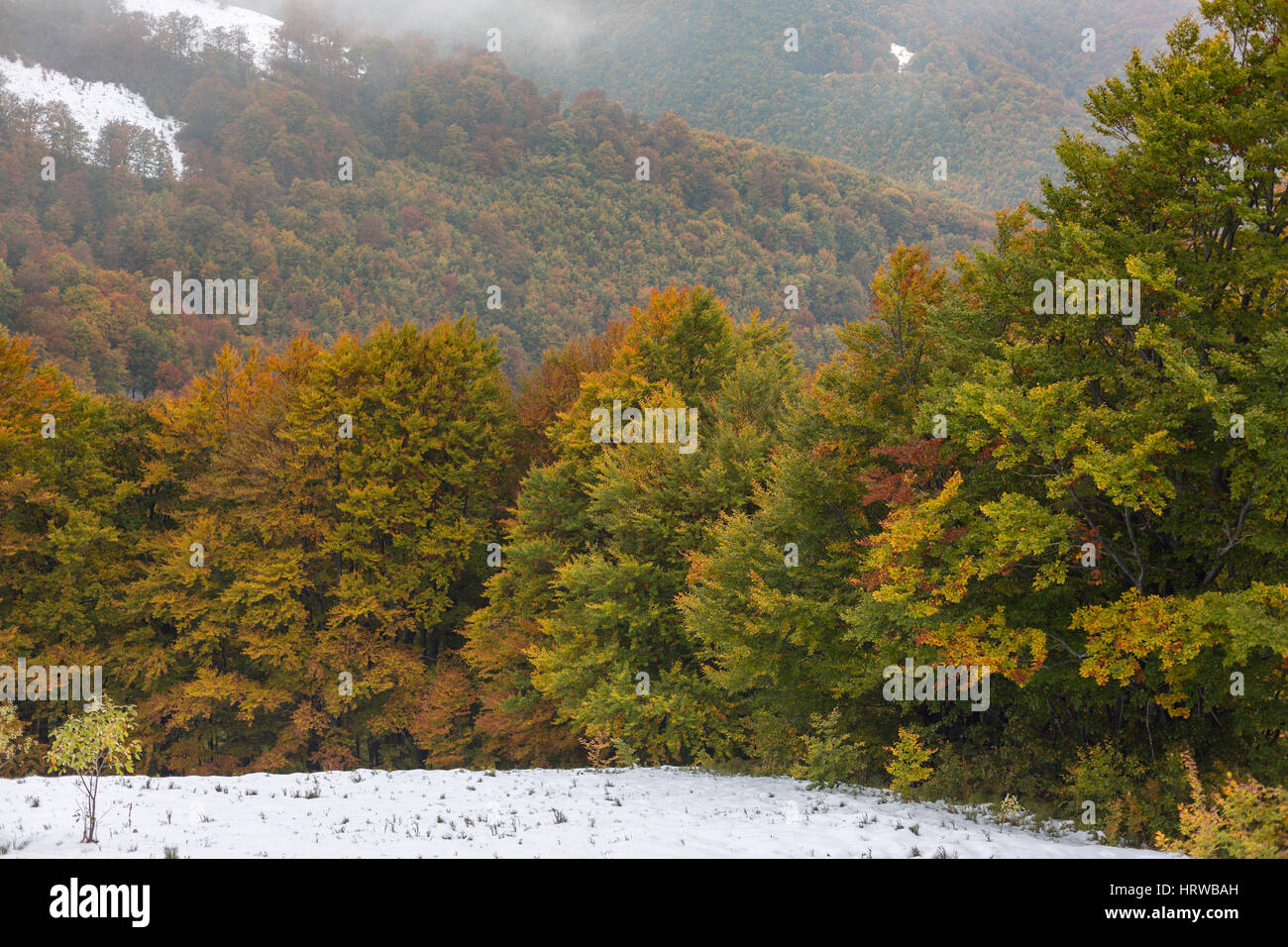 The slope with snow and beautiful, colorful autumn trees on background ...