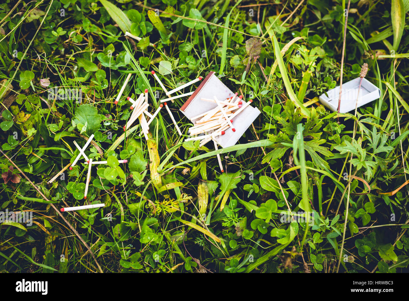 Destroyed grass hi-res stock photography and images - Alamy