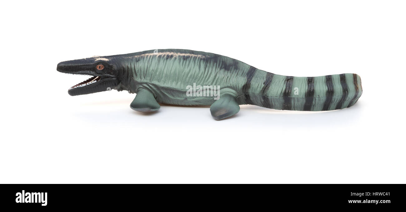 side view Mosasaurus toy with shadow on white background Stock Photo ...
