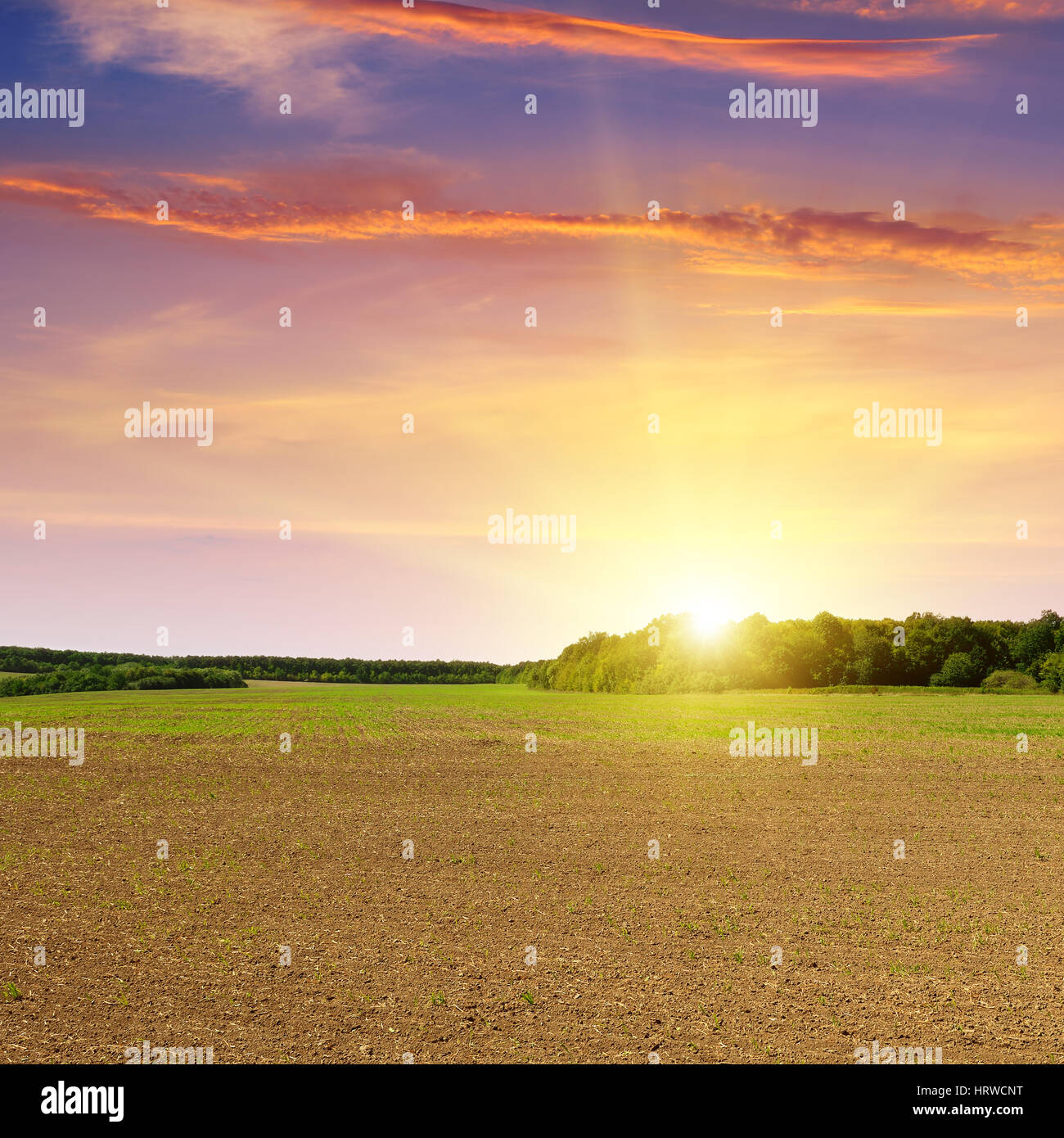 plowed field and beautiful sunset Stock Photo - Alamy