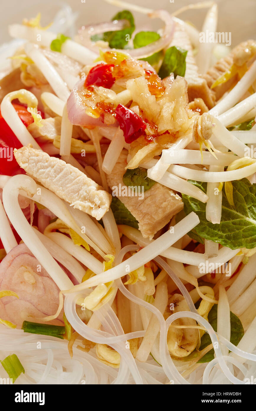 a bowl of Thai Noodle Salad made with chicken and mung bean threads ...