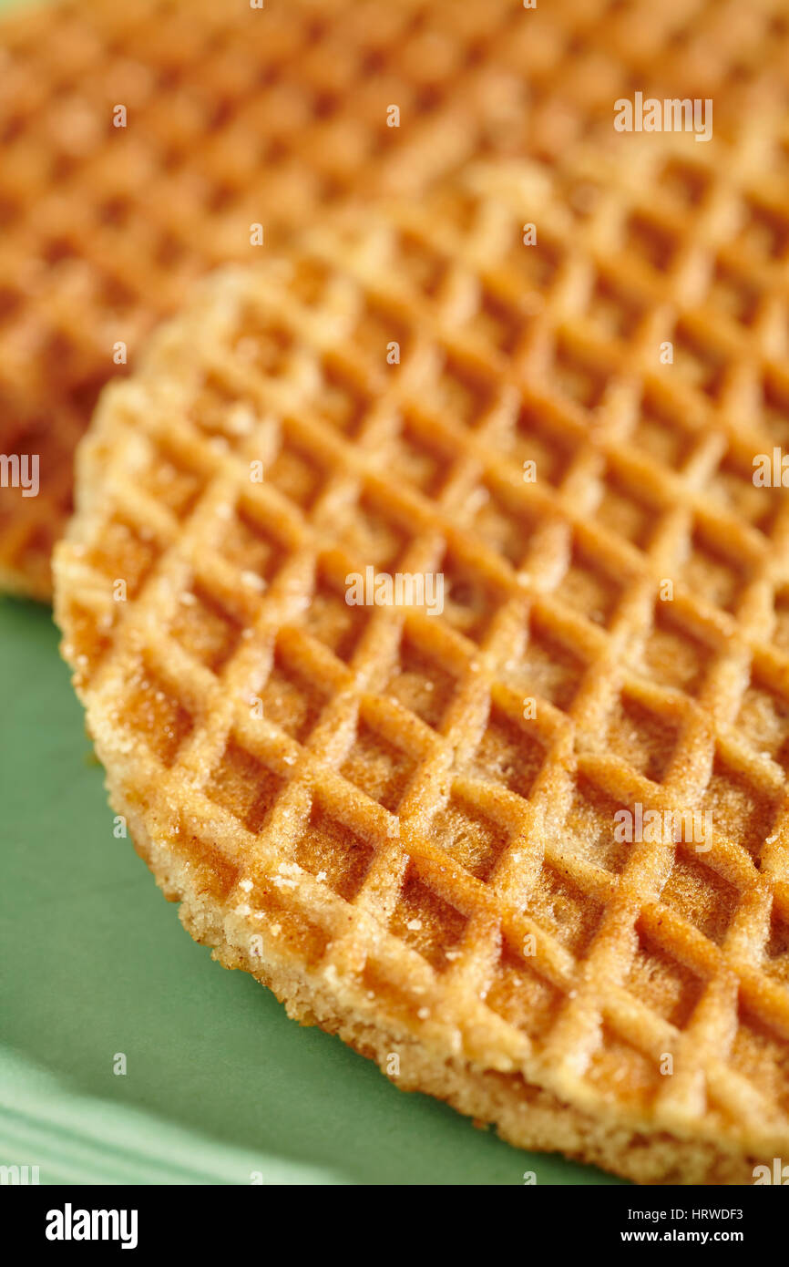 Dutch Stroopwafels, called "Stroopies" in English Stock Photo - Alamy