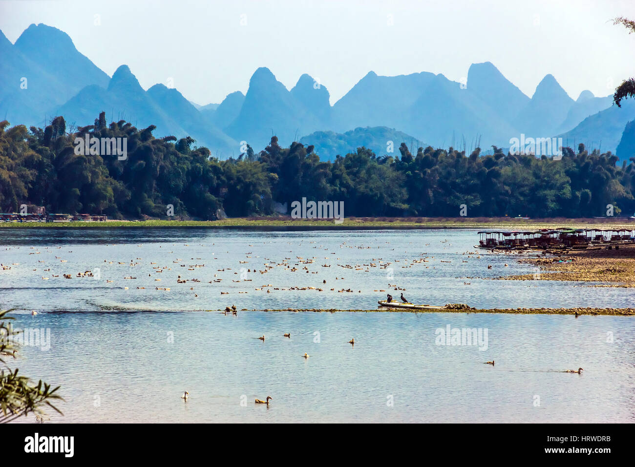 Wildlife Scene in Central China Many Birds on River and Karst Mountains ...