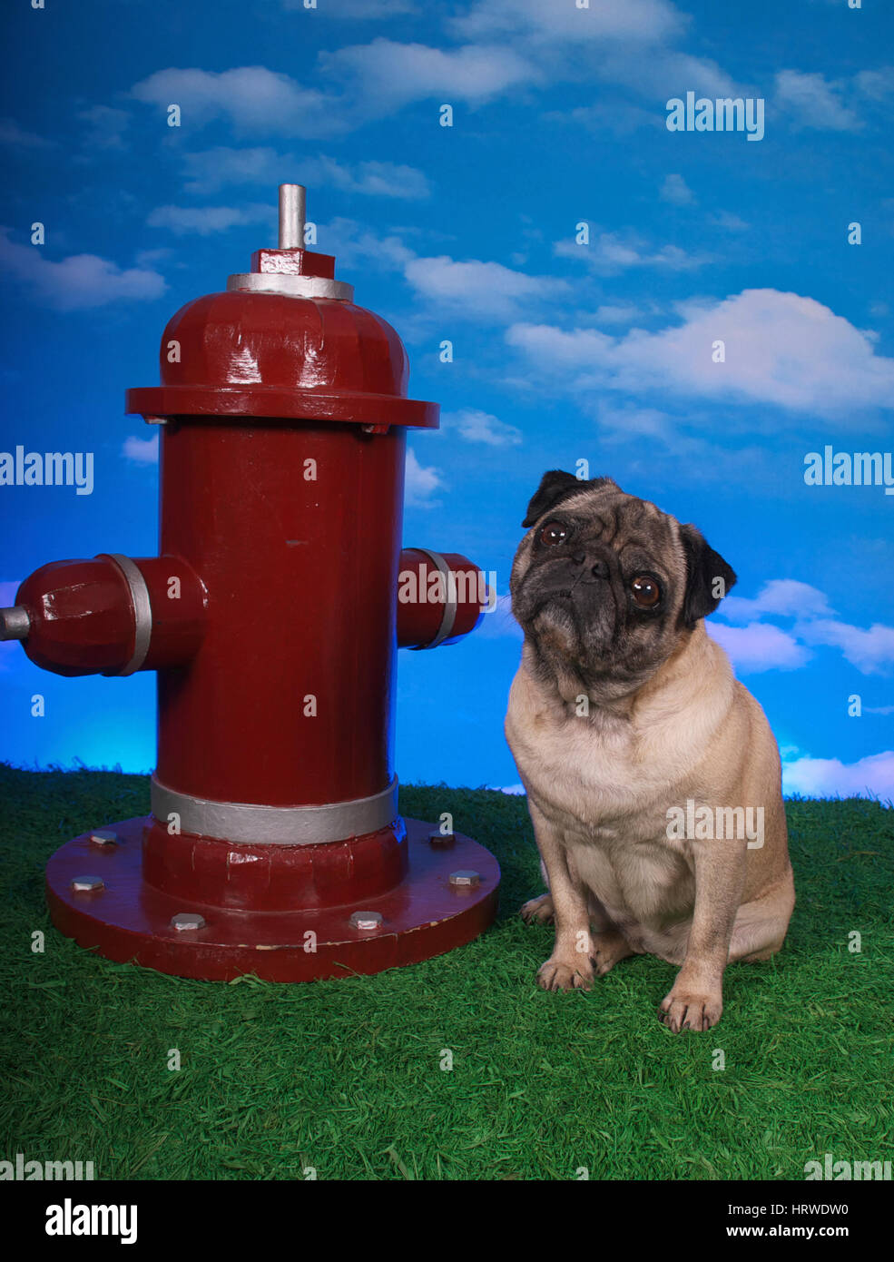Blue fireplug hi-res stock photography and images - Alamy