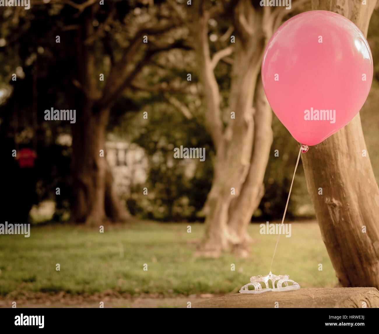 Baby Gender Reveal (Girl Stock Photo - Alamy