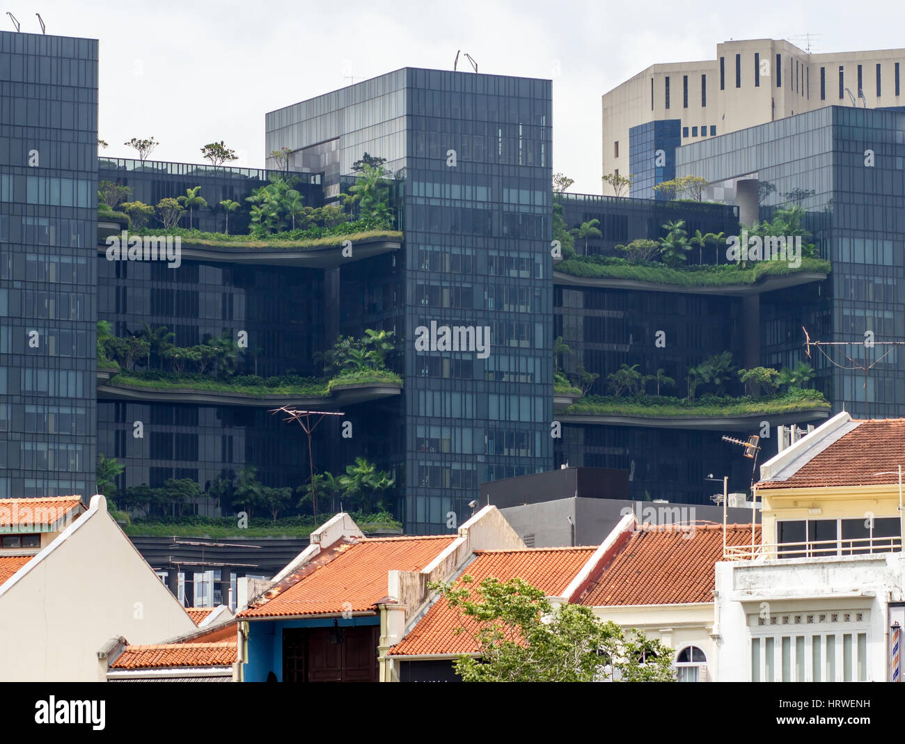 Green terraces on the facade of a modern building in the city ...