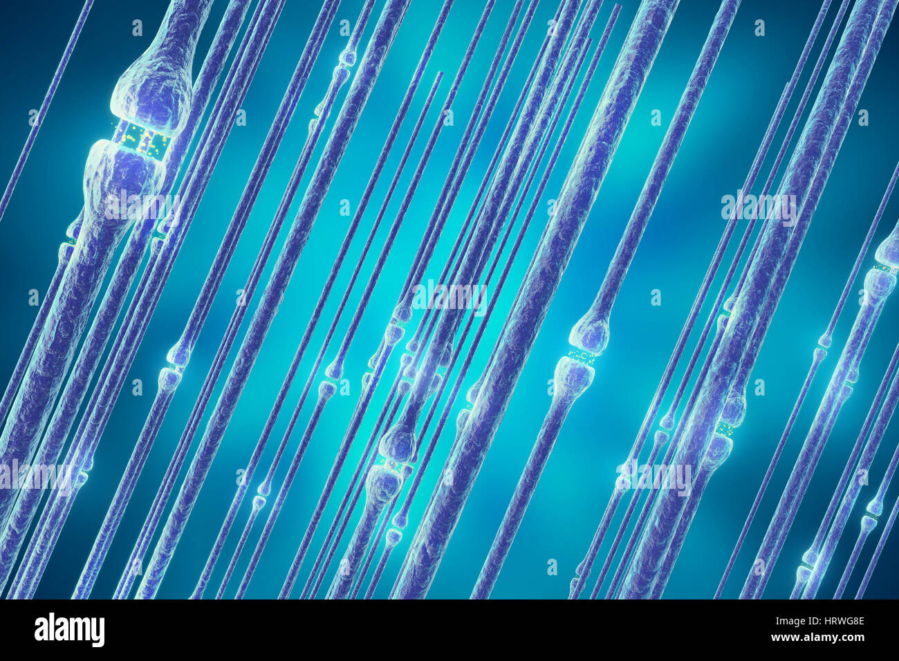 Synaptic transmission, human nervous system, 3d rendering Stock Photo ...