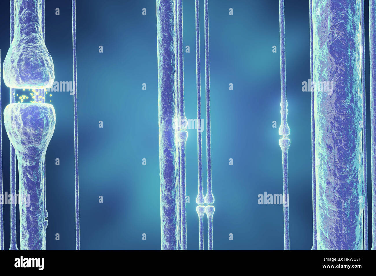 Neurons transmission signals in the head on blue background. Synapse ...