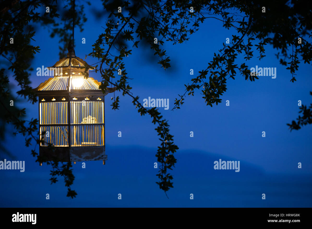 Lamp hanging from tree hi-res stock photography and images - Alamy