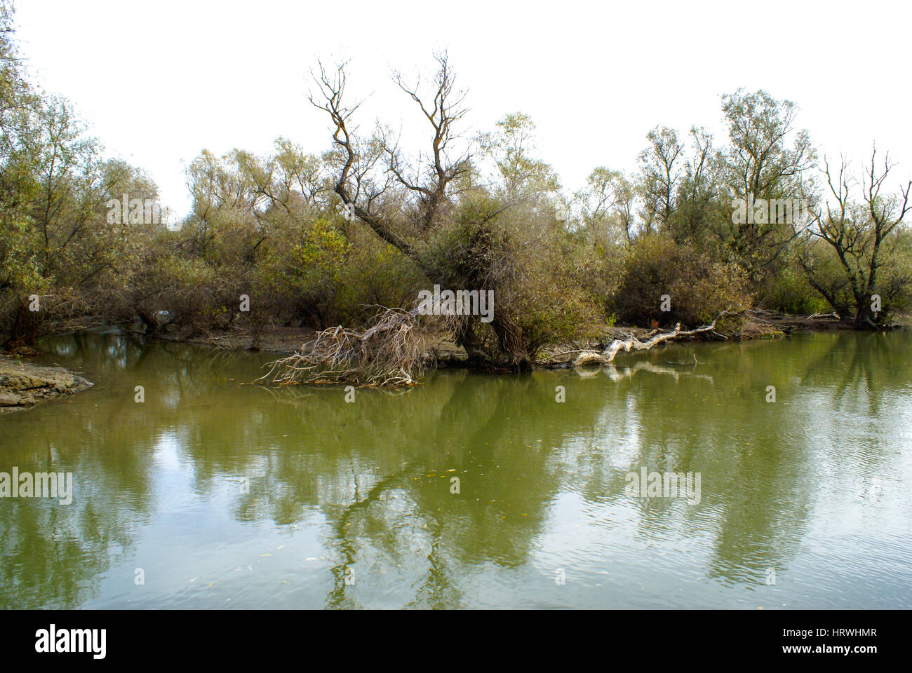 Cala delta mallorca hi-res stock photography and images - Alamy