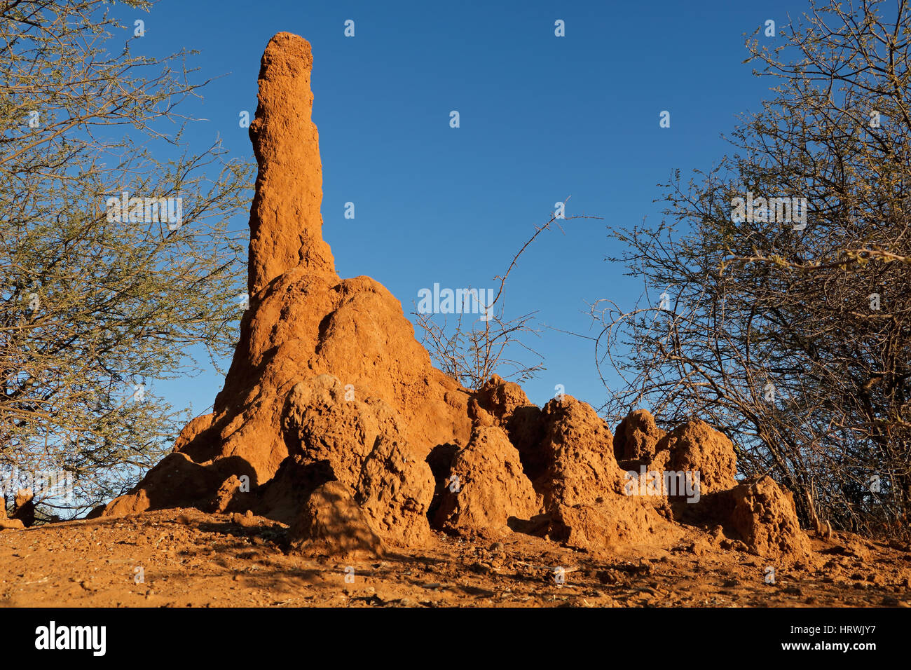 Massive termite mound against a blue sky, southern Africa Stock Photo ...