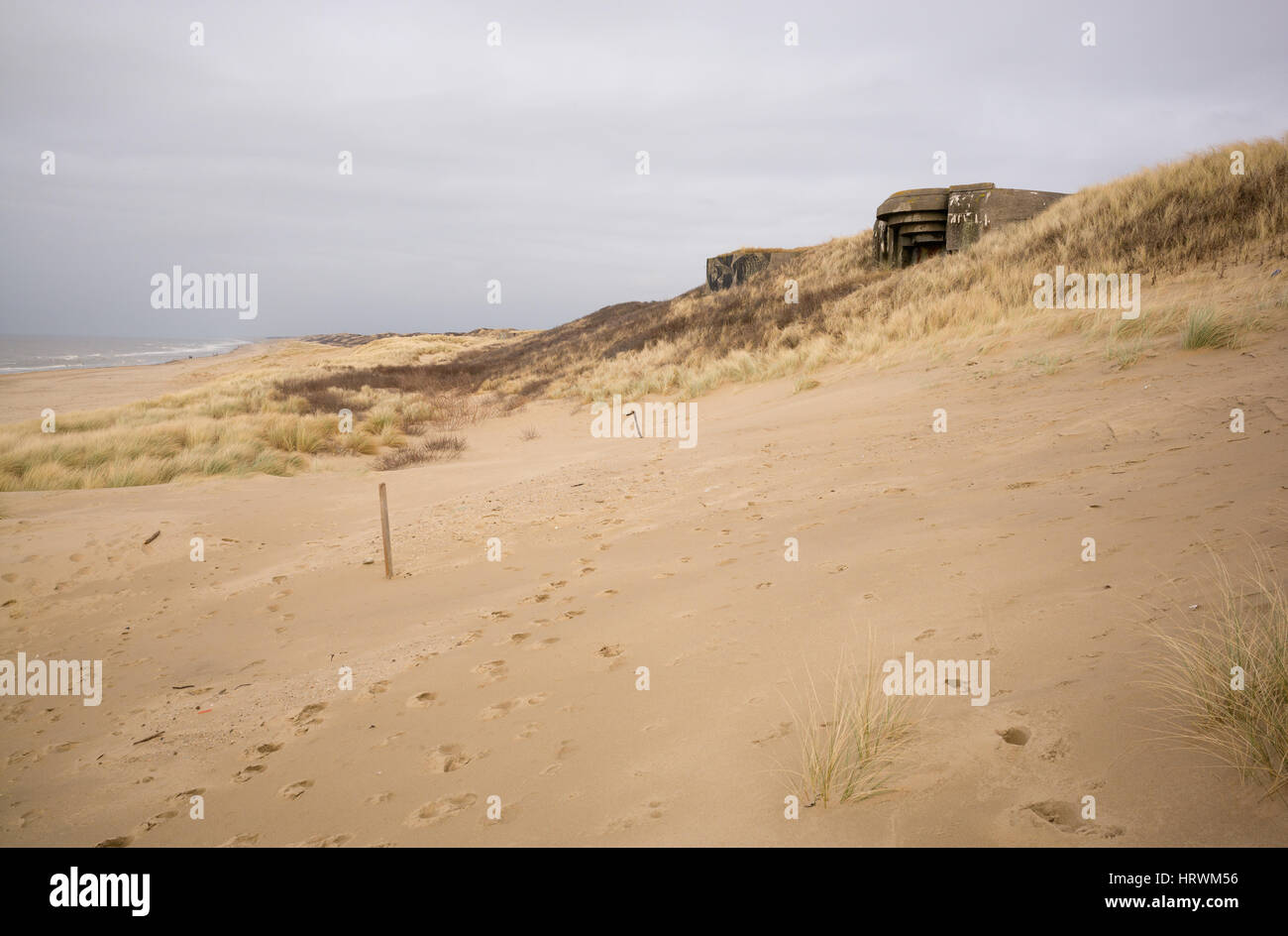 World War II concrete gun emplacements above sand dunes on North Sea ...