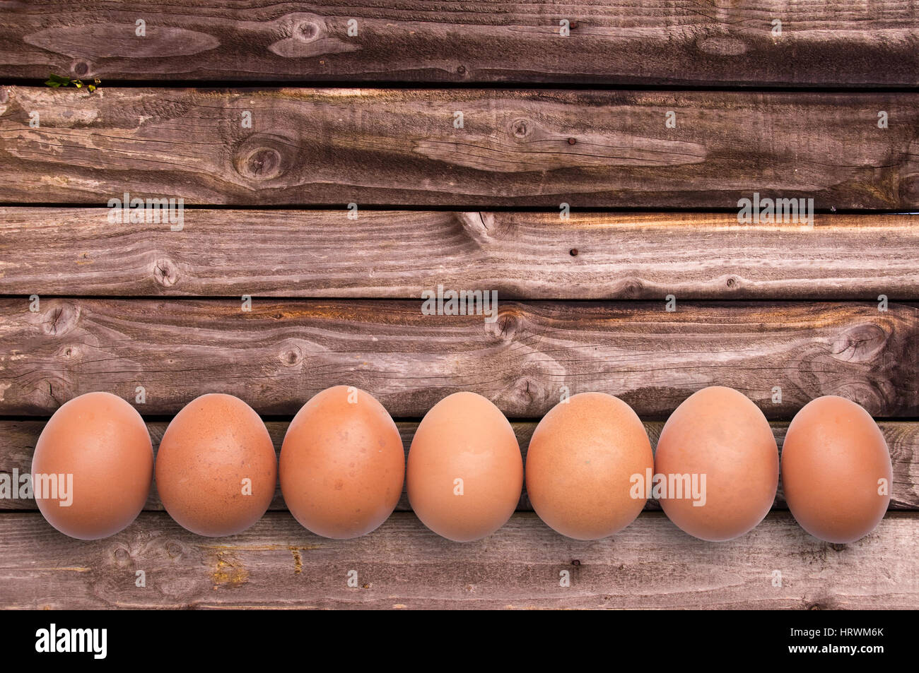 Line of easter eggs hi-res stock photography and images - Alamy